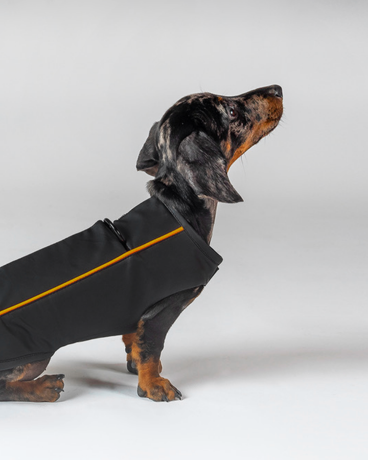 Wondercoat – Luxury Dog Coats