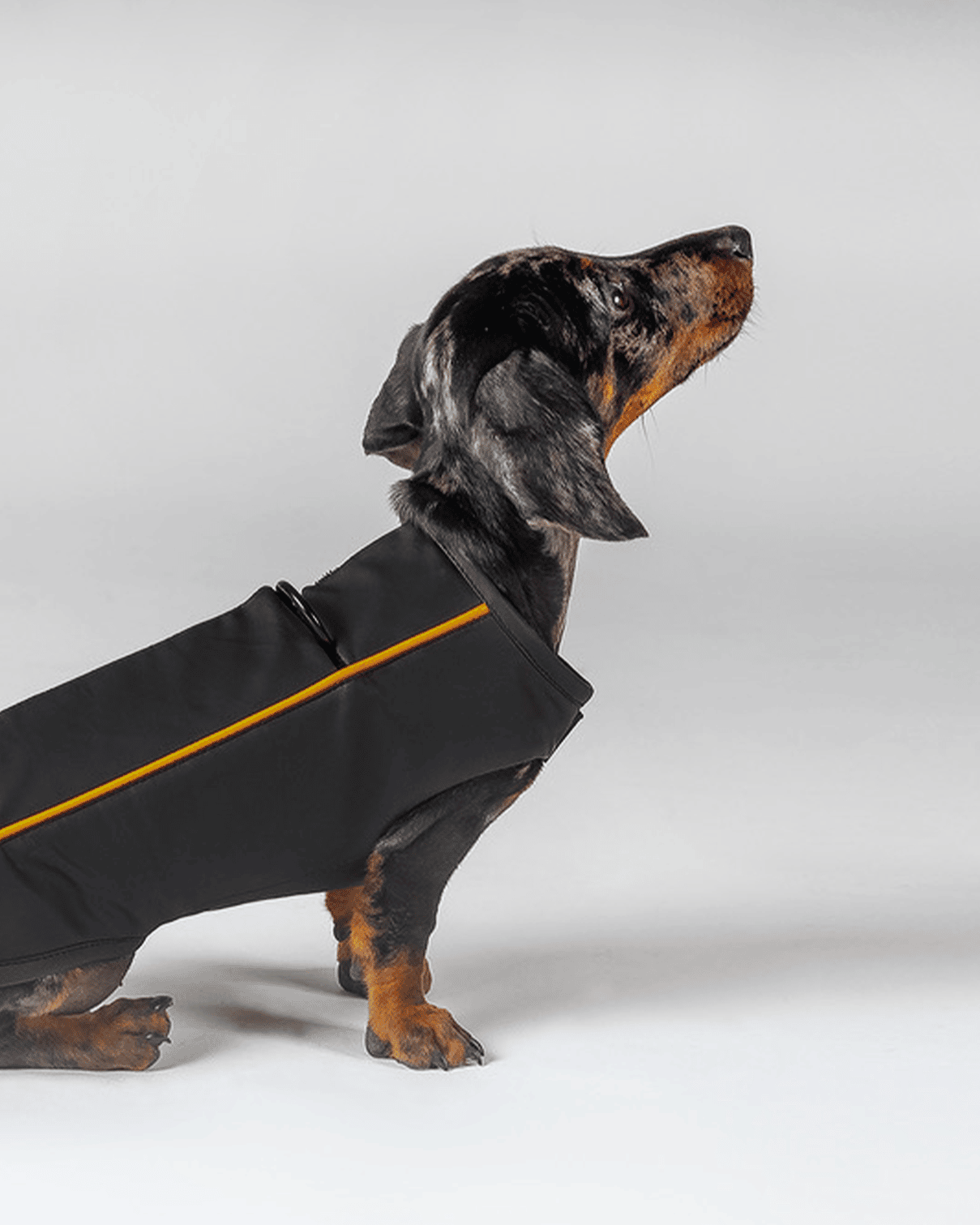 Shop – Wondercoat