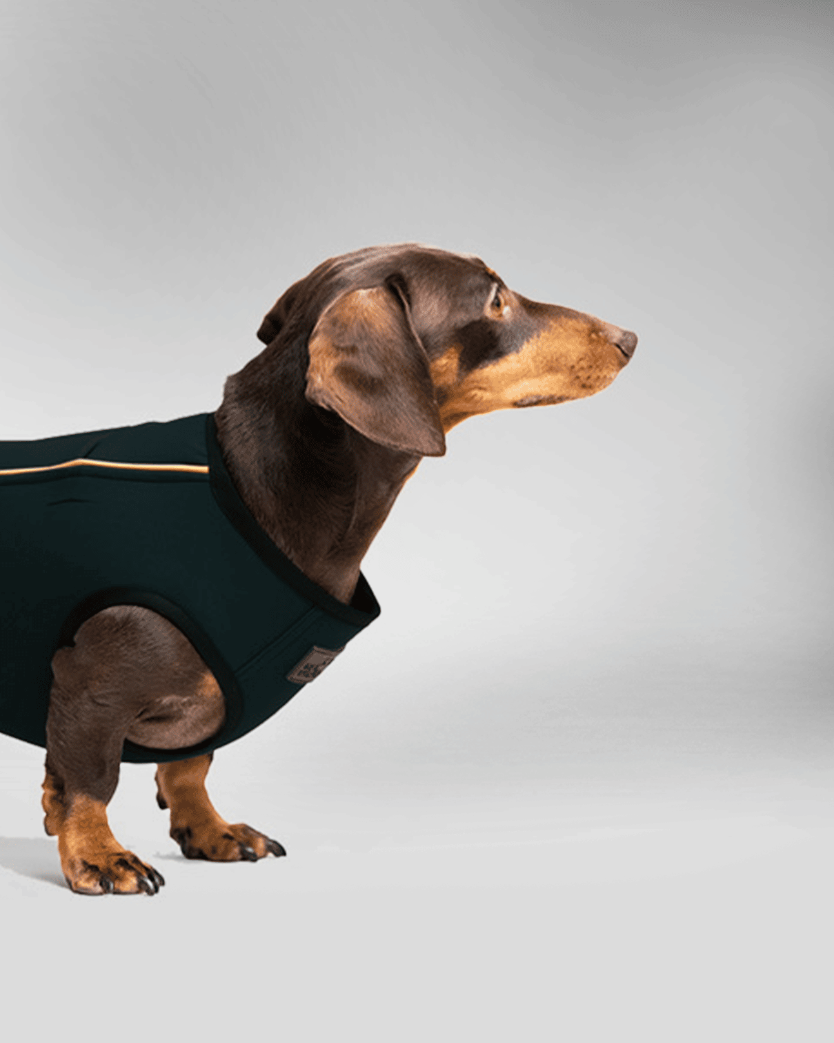 Shop – Wondercoat