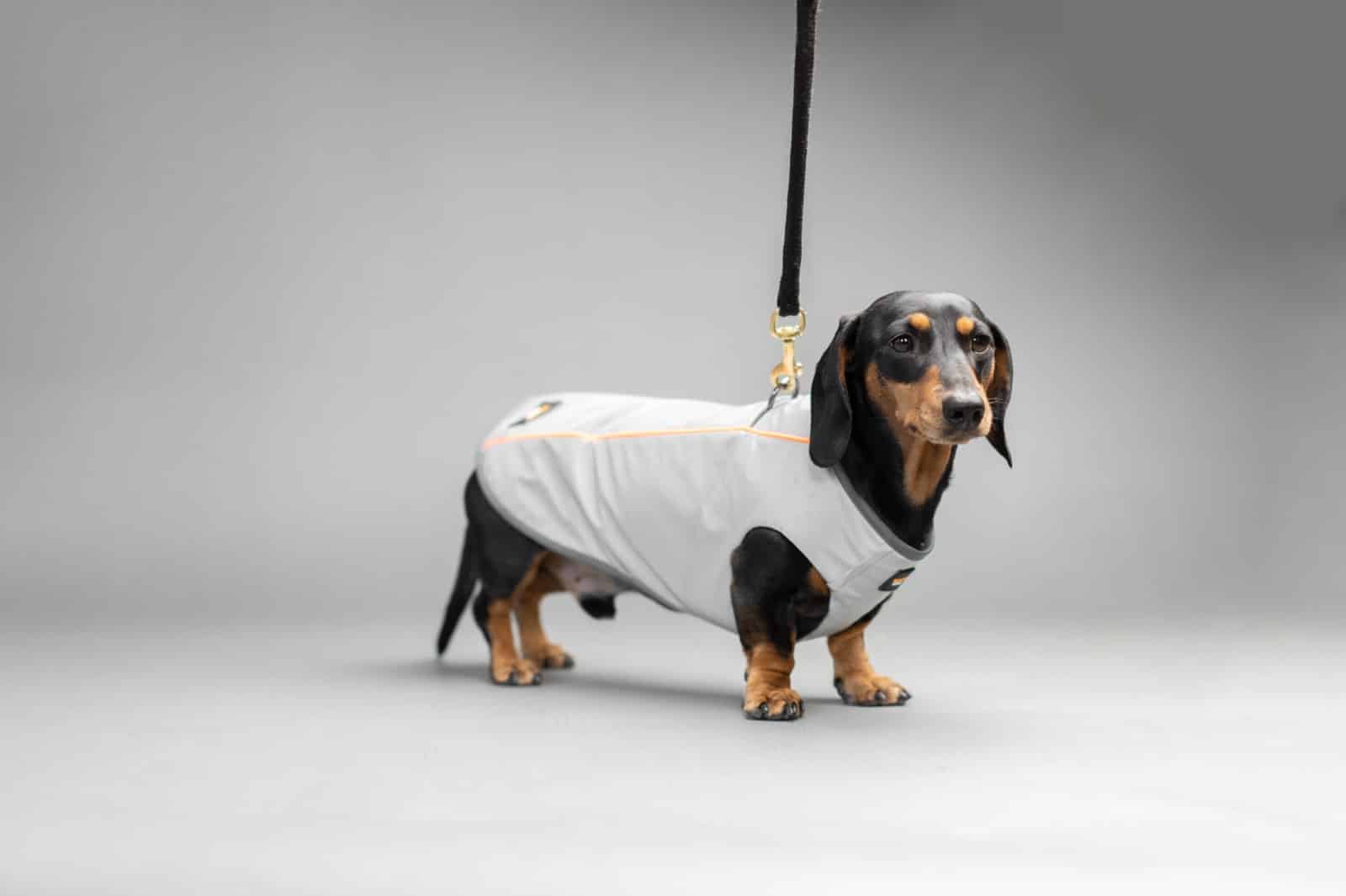 Harness coat – Wondercoat
