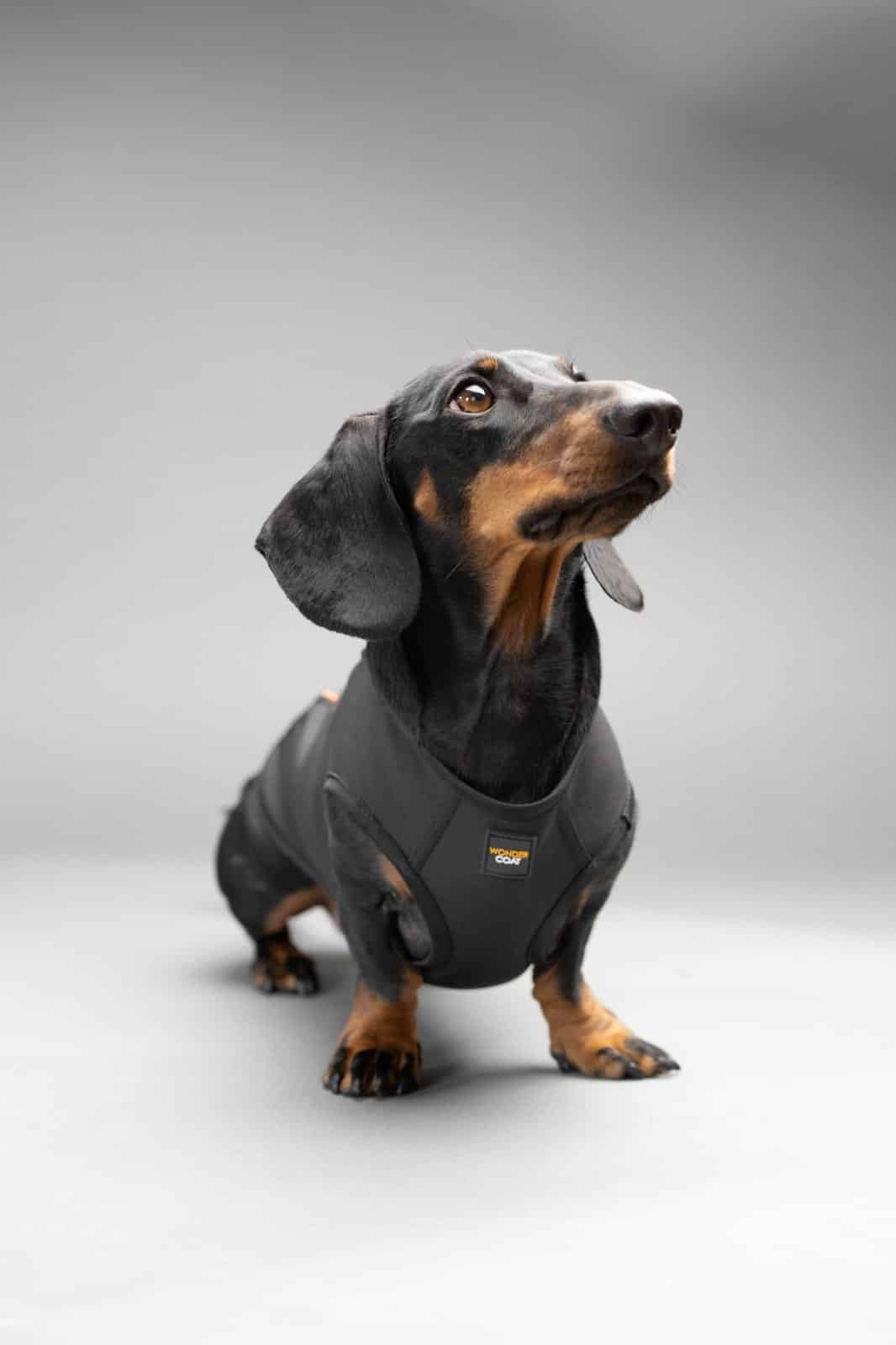 Shop – Wondercoat