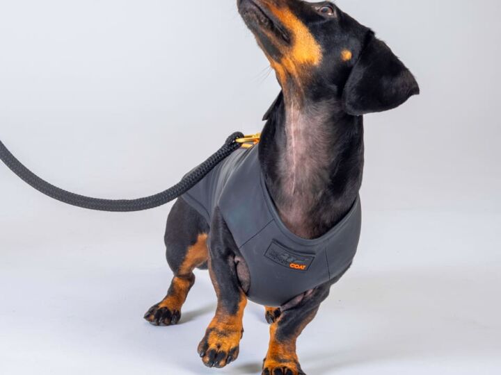 Harness coat – Wondercoat