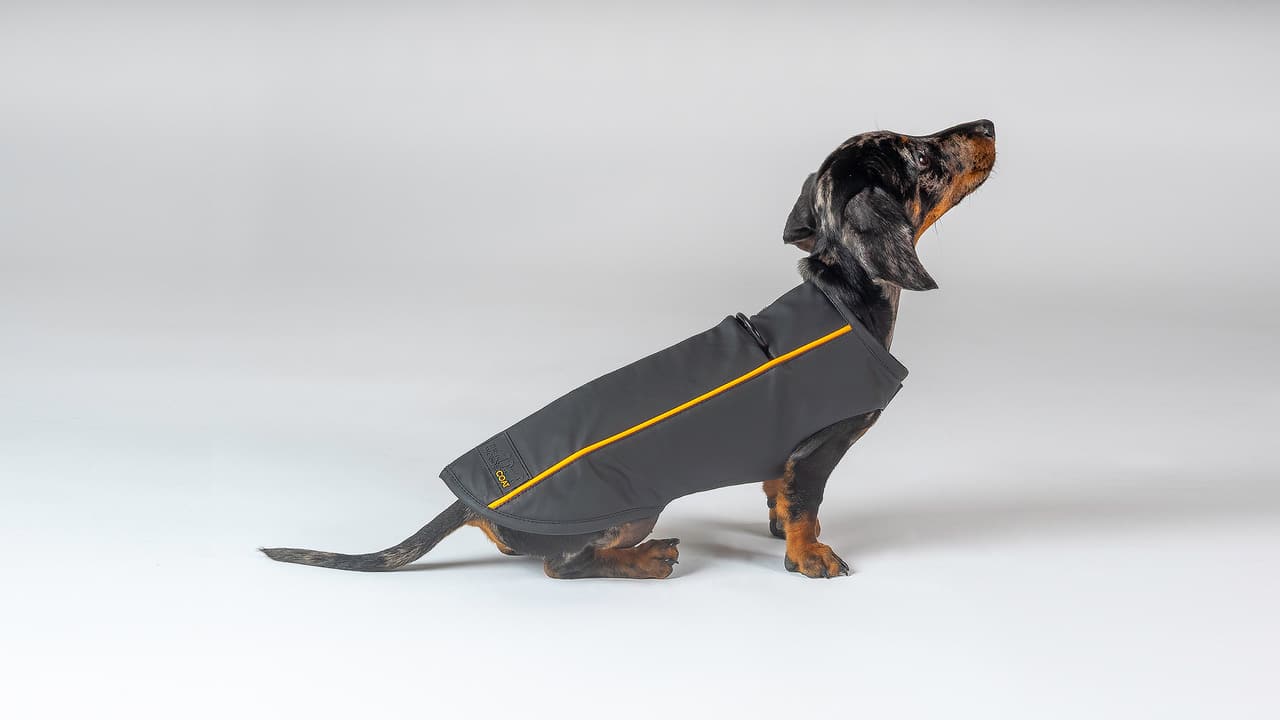 Harness coat – Wondercoat
