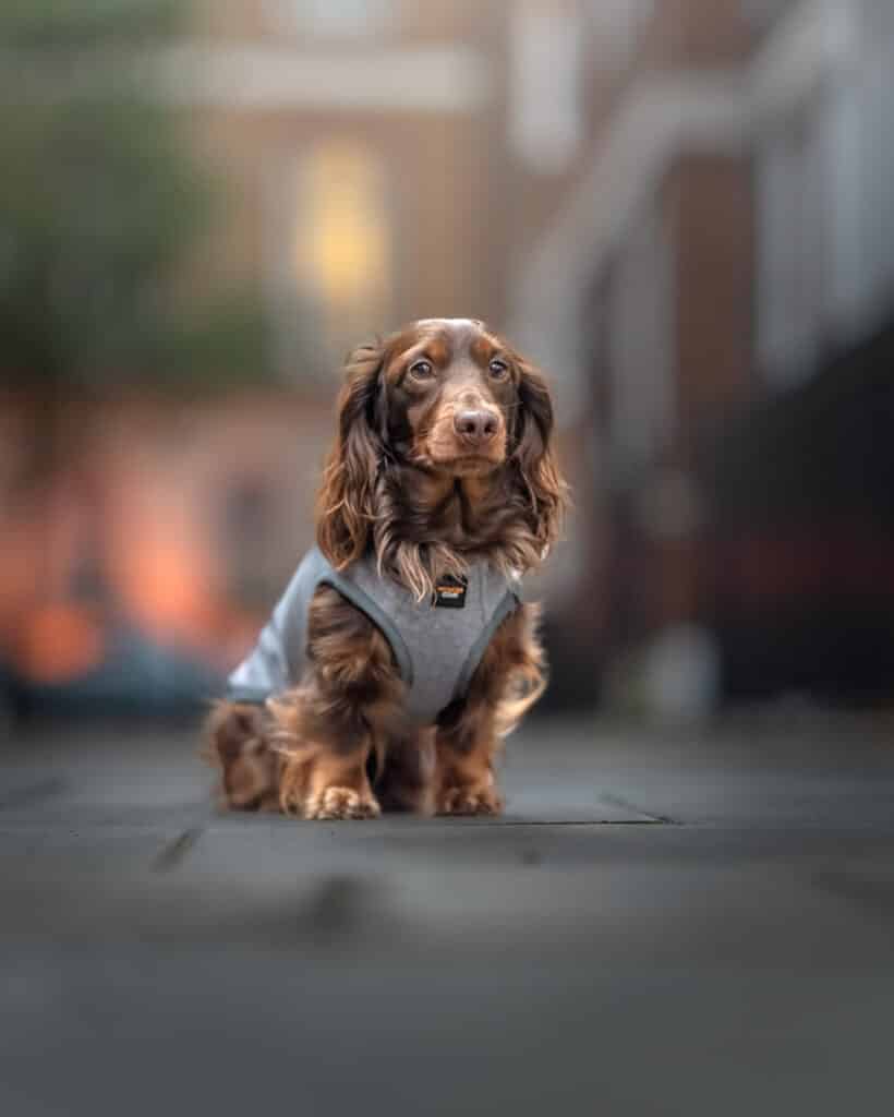 The All-Weather Kit - Wondercoat