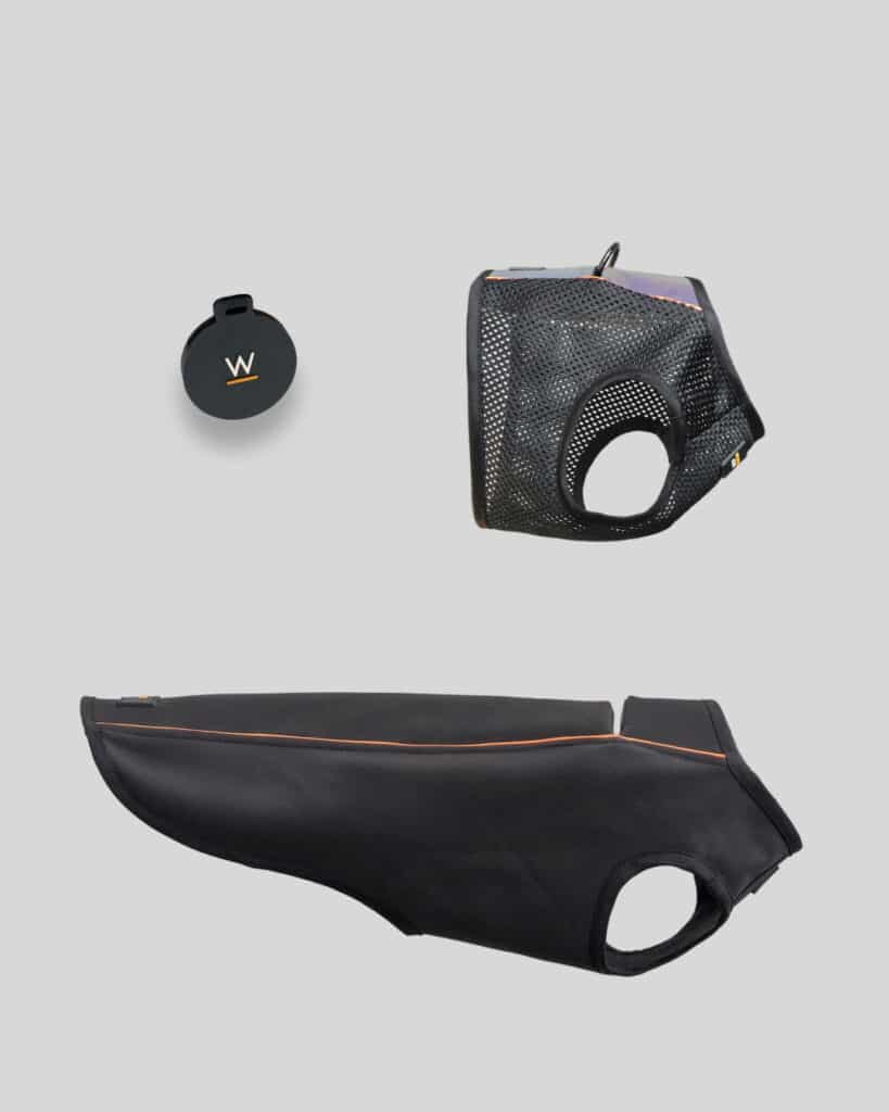 Dachshund harnesses and coats - Performance, Safety, Style - Wondercoat