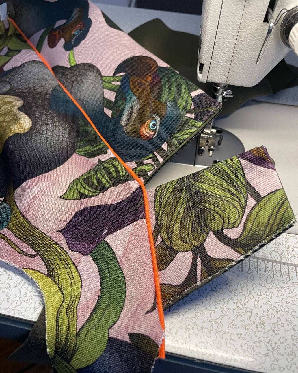 Wondercoat – Luxury Dog Coats