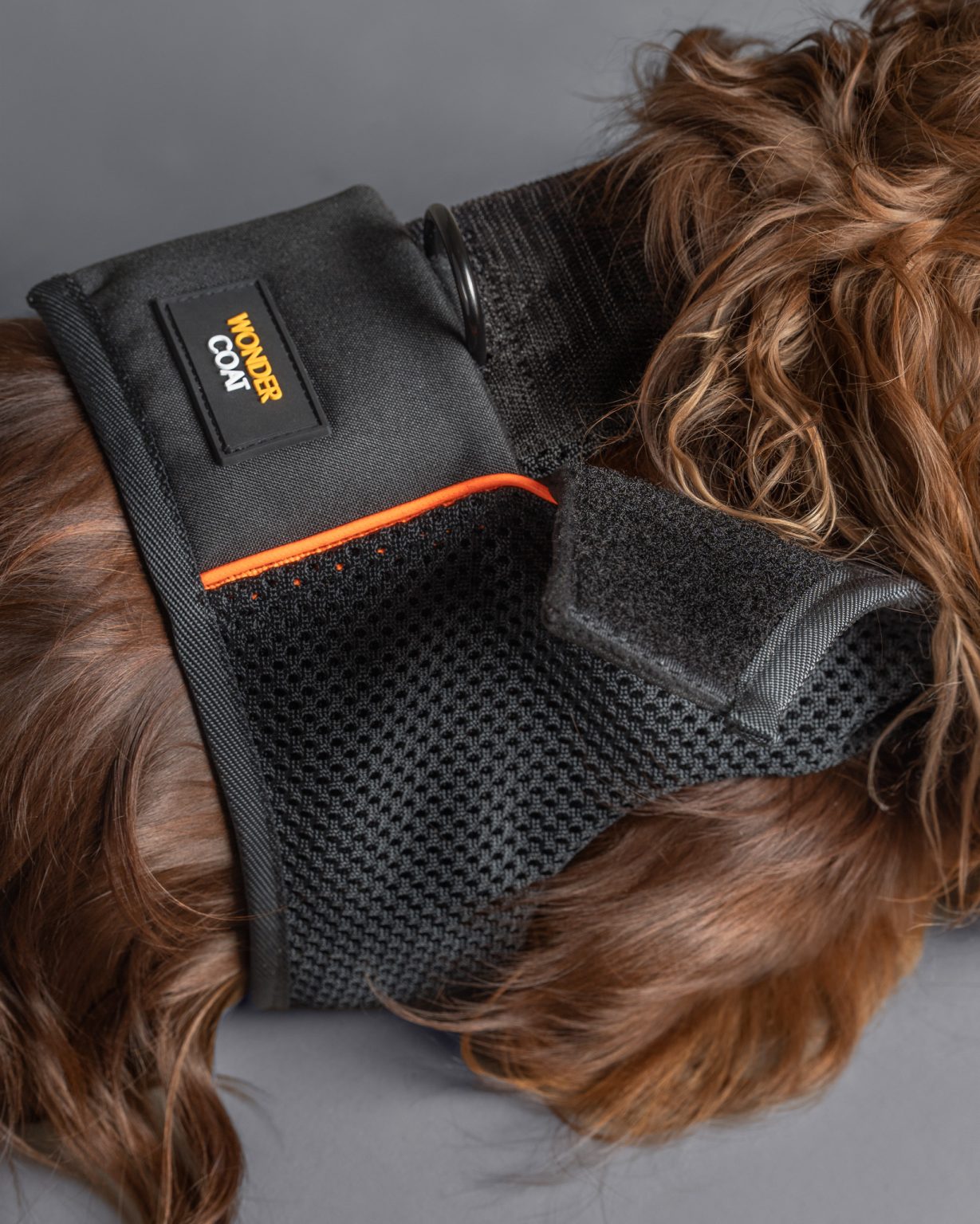 Dachshund Harness Pro - Wondercoat