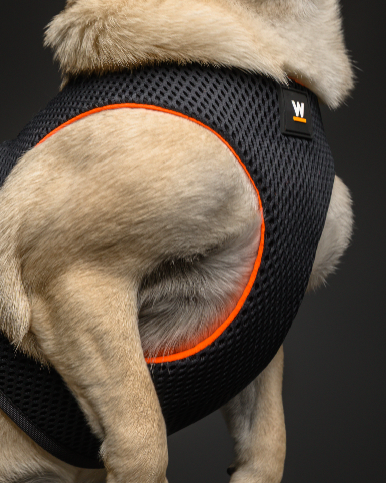 Harness Lite - Wondercoat